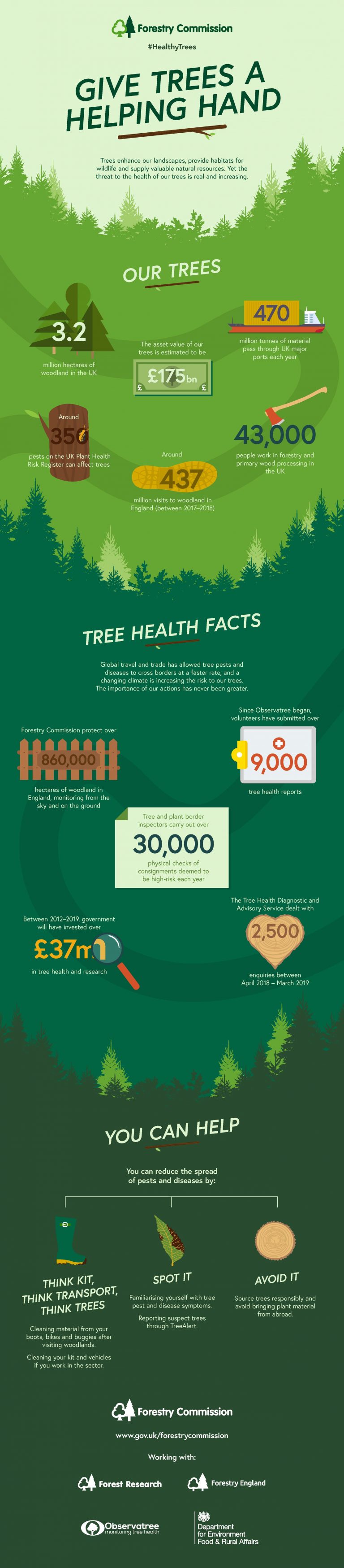 Give Trees A Helping Hand – Infographic – Forestry Commission