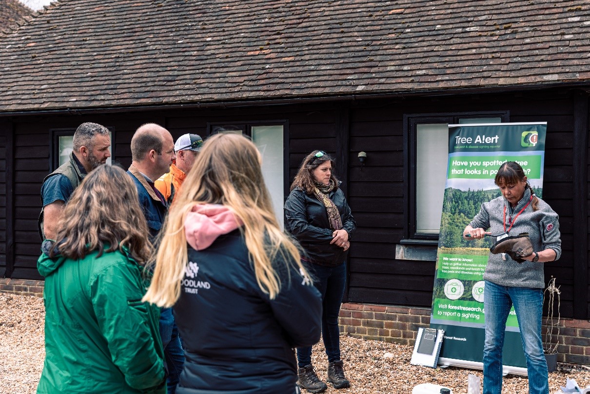 What is Observatree and how does it help our trees? – Forestry Commission