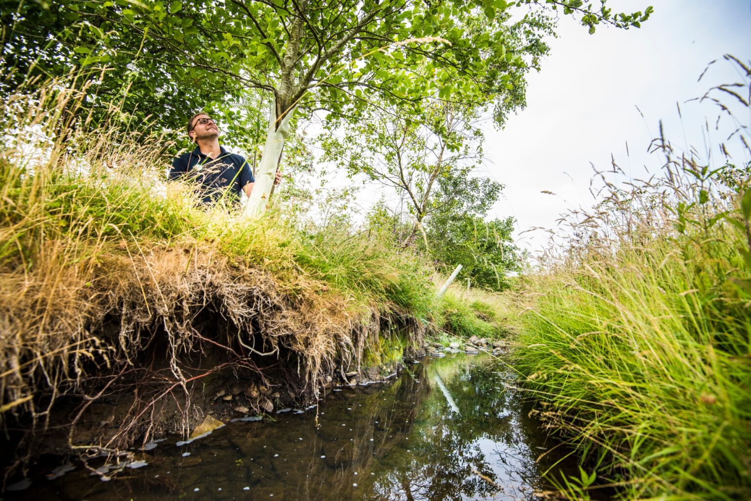 Making space for nature – to benefit water – Forestry Commission
