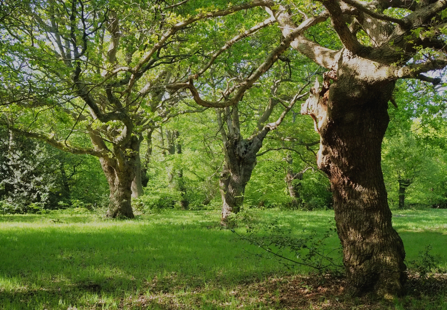 Keepers of Time: How Government are protecting and improving ancient ...