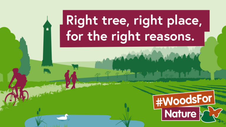 landscape – Forestry Commission