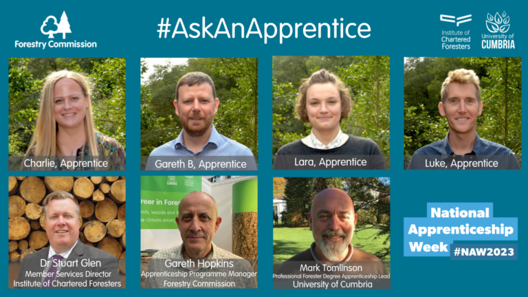 Forestry Apprenticeship: Your questions answered – Forestry Commission