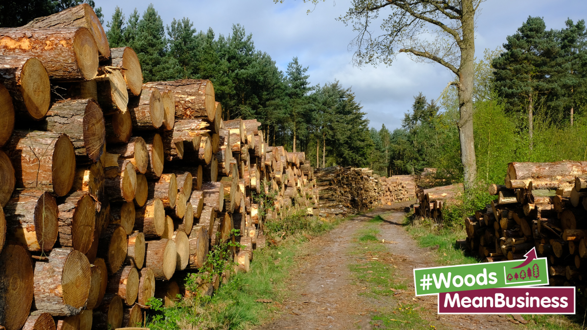 How trees can stack up to help your farm business diversify – Forestry ...