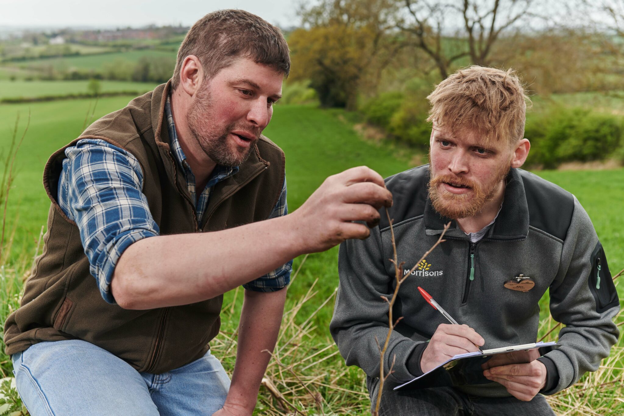 How Morrisons are supporting farmers to plant trees – Forestry Commission