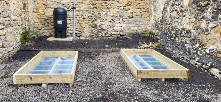 How we’re supporting tree and seed suppliers to boost domestic tree ...