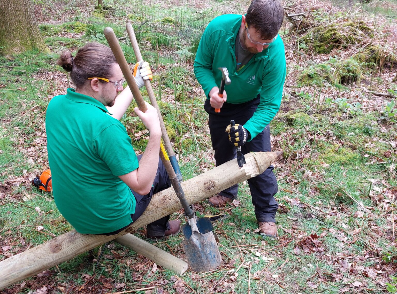 Forestry Apprenticeship: becoming a ‘tree family’ – Forestry Commission