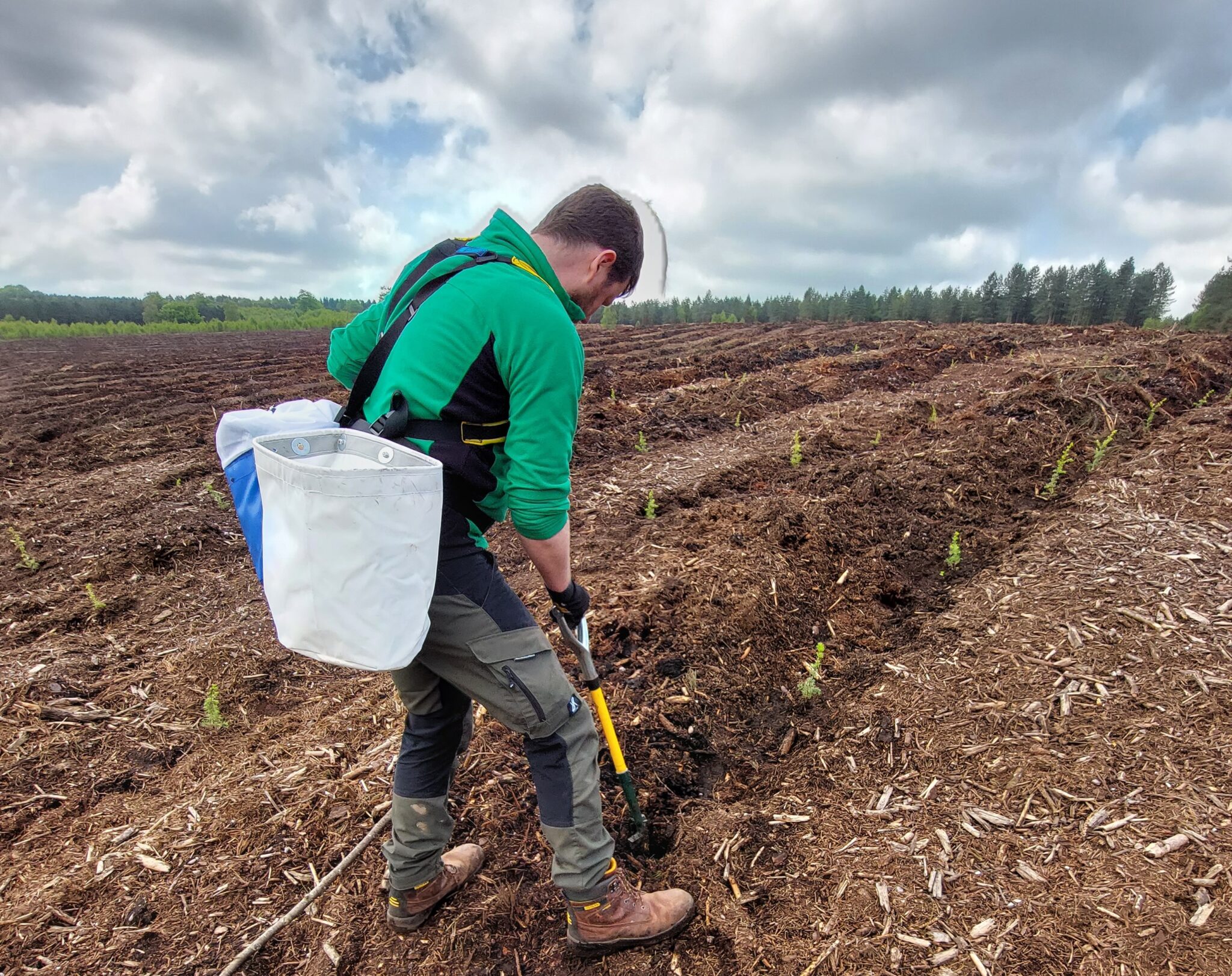 Forestry Apprenticeship: becoming a ‘tree family’ – Forestry Commission