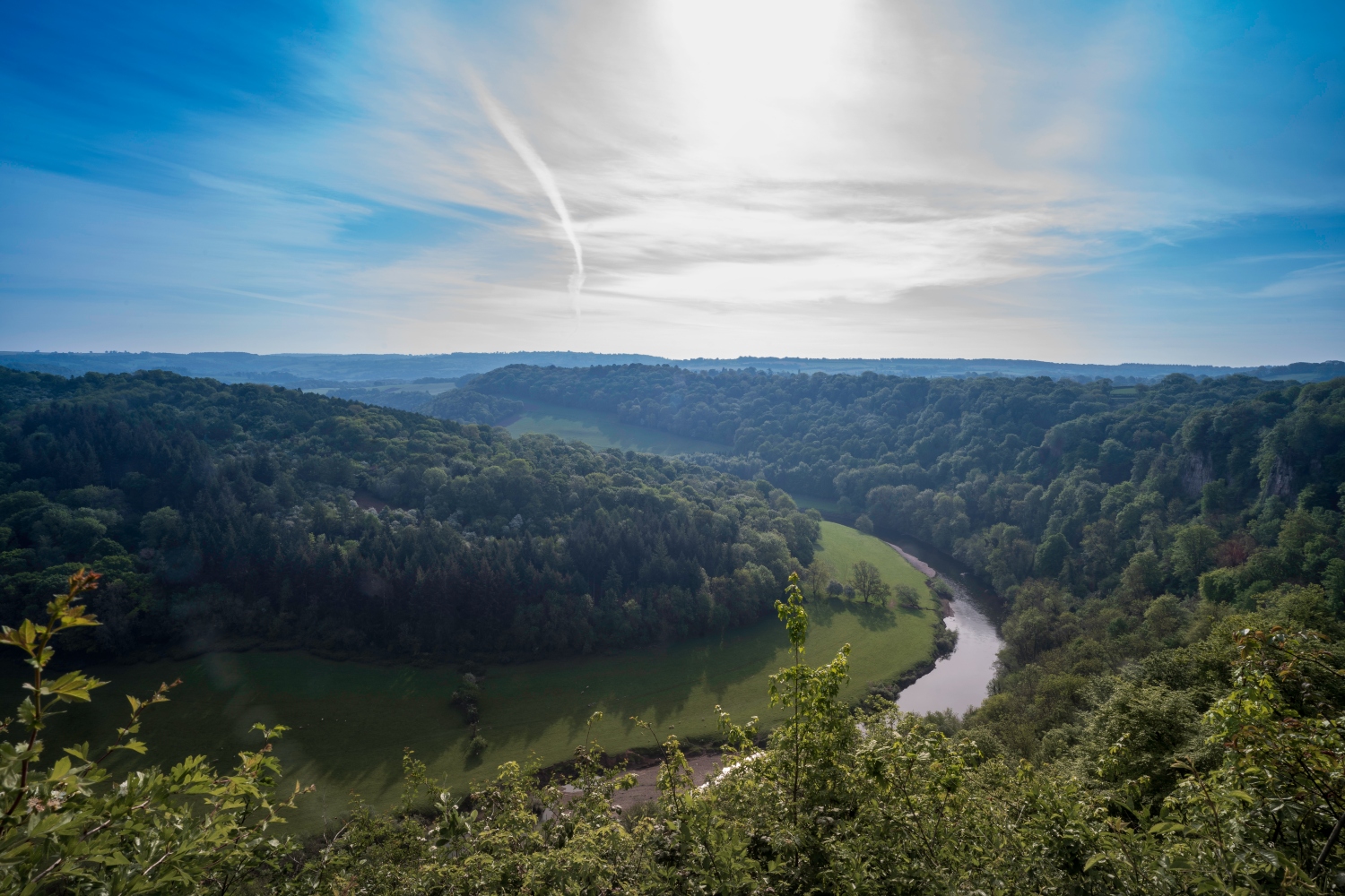 England Tree Planting Increases for 2022/23 – Forestry Commission