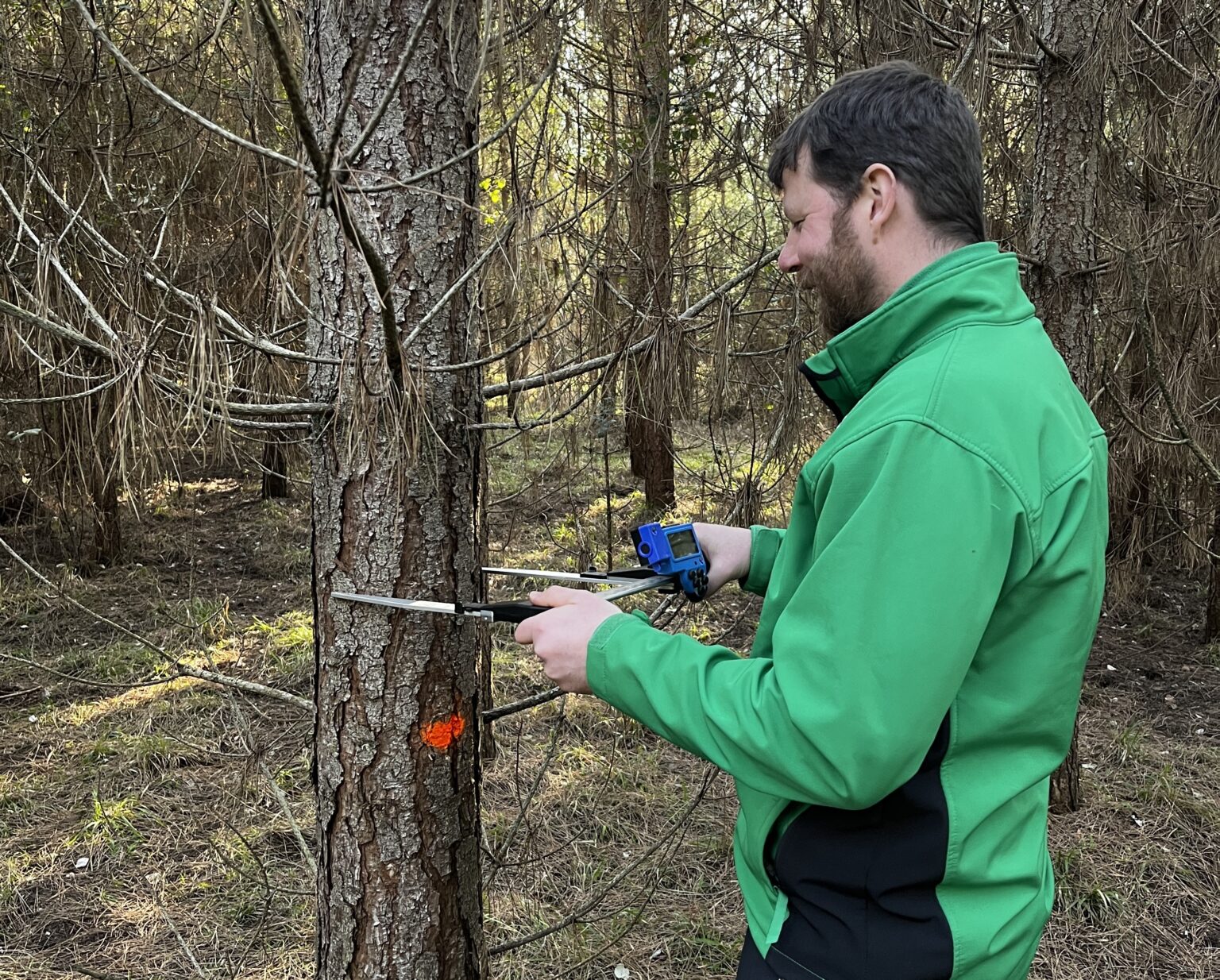 Forestry Apprenticeship: becoming a ‘tree family’ – Forestry Commission