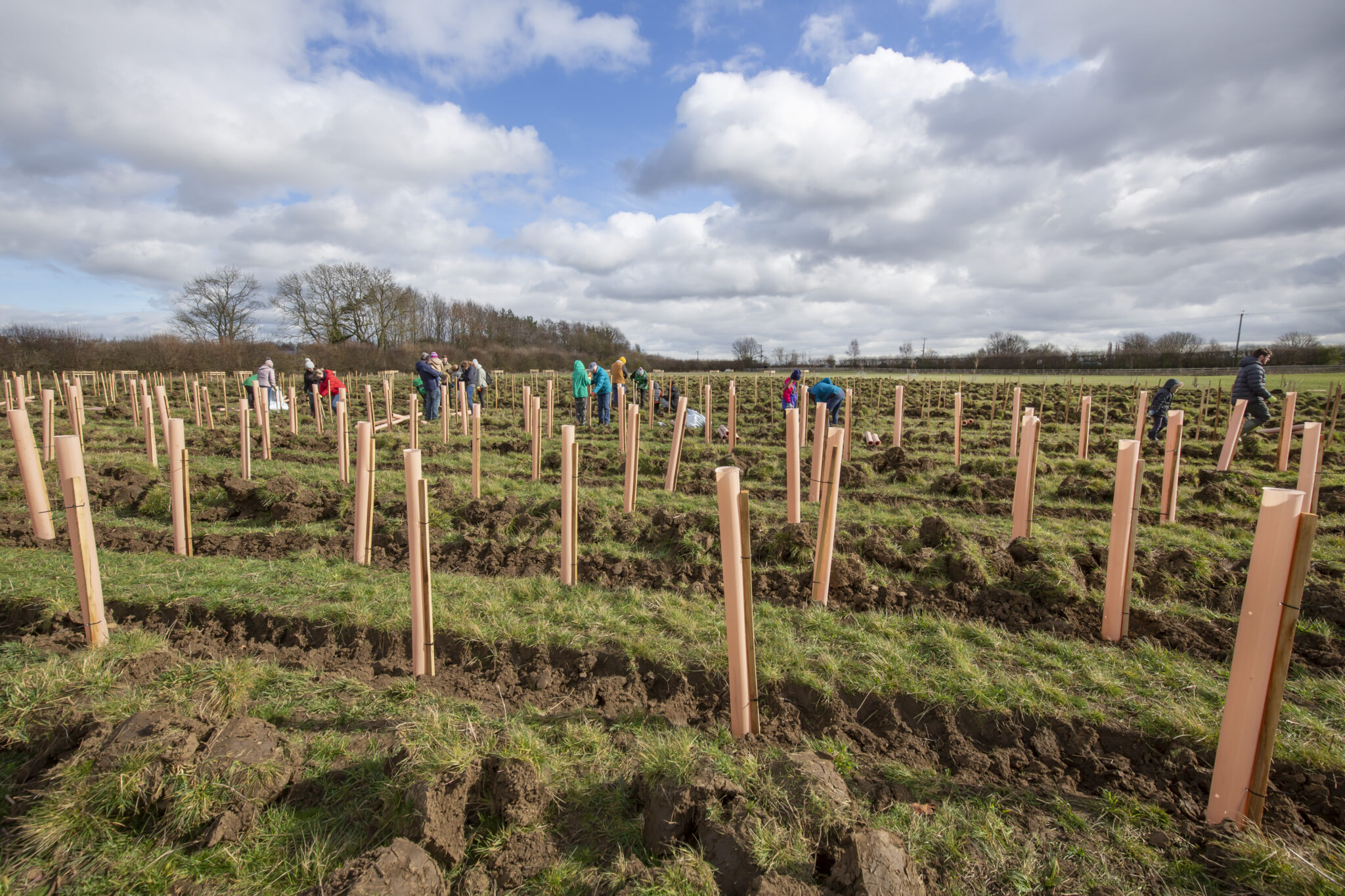 Celebrating the King’s Coronation – A new Living Heritage Fund for tree ...