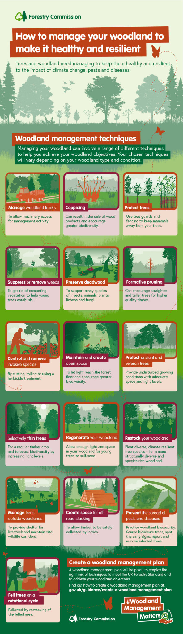 Woodland management techniques – Forestry Commission