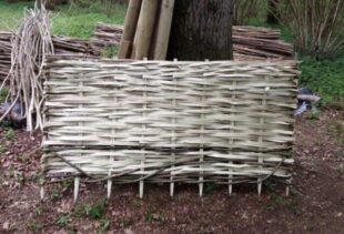 Is coppicing right for my woodland? – Forestry Commission