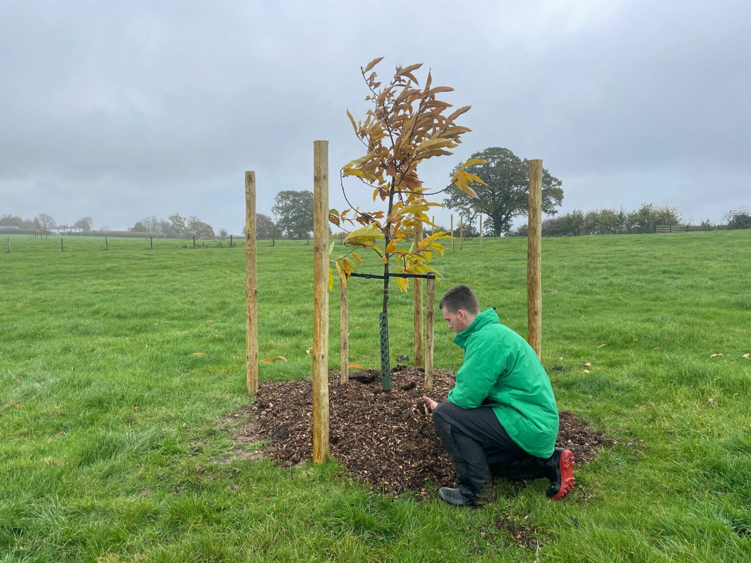 Professional Forester Apprenticeship: a pathway into your new career in ...