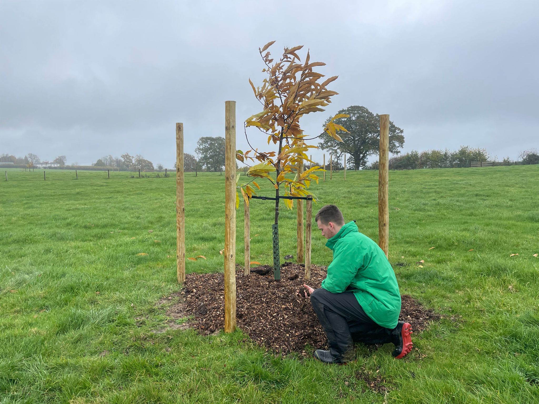 Professional Forester Apprenticeship: a pathway into your new career in ...