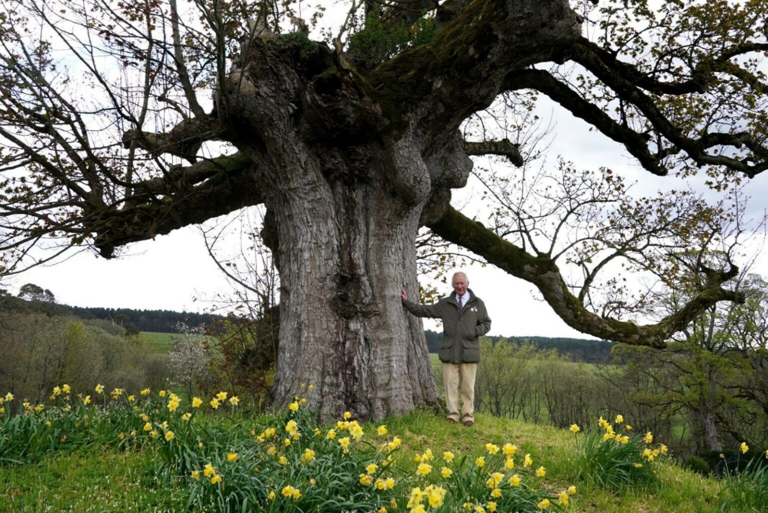 Growing strong: Defra’s Trees and Forestry Team reflect on the last 6 ...