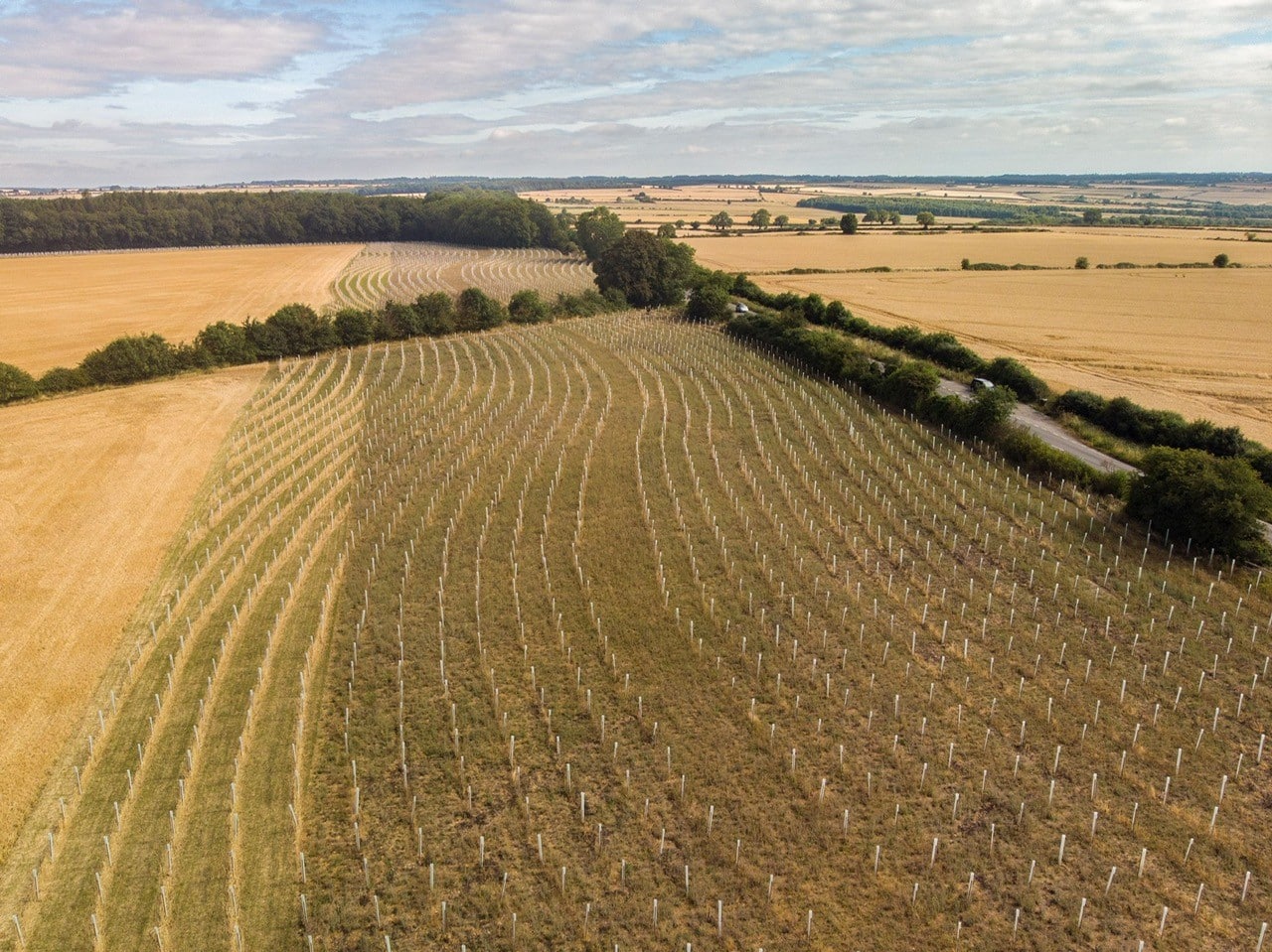 How a new digital mapping tool is helping to boost woodland creation ...
