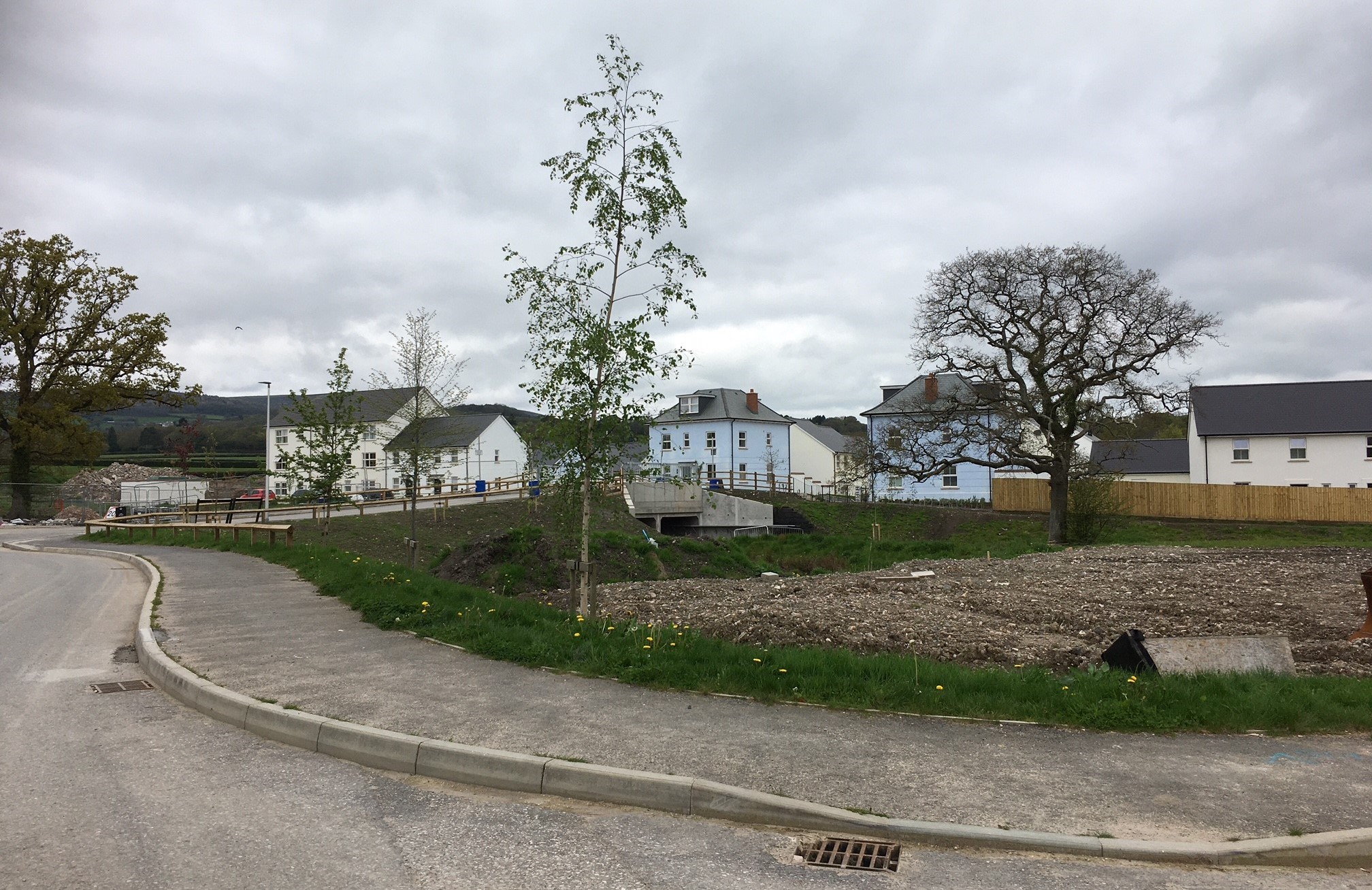 Biodiversity net gain – what can we expect for trees and woodlands ...