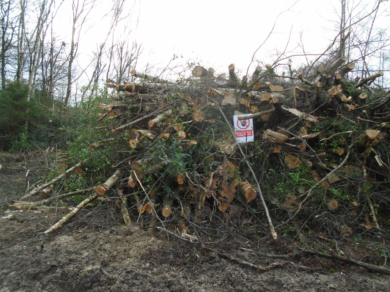 How we’re using the power of the courts to clamp down on illegal ...