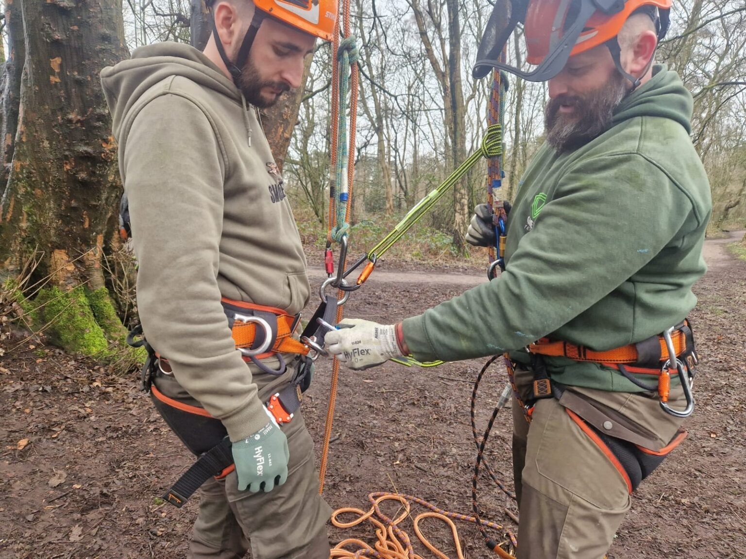 Careers in Forestry: Mark’s story – Forestry Commission