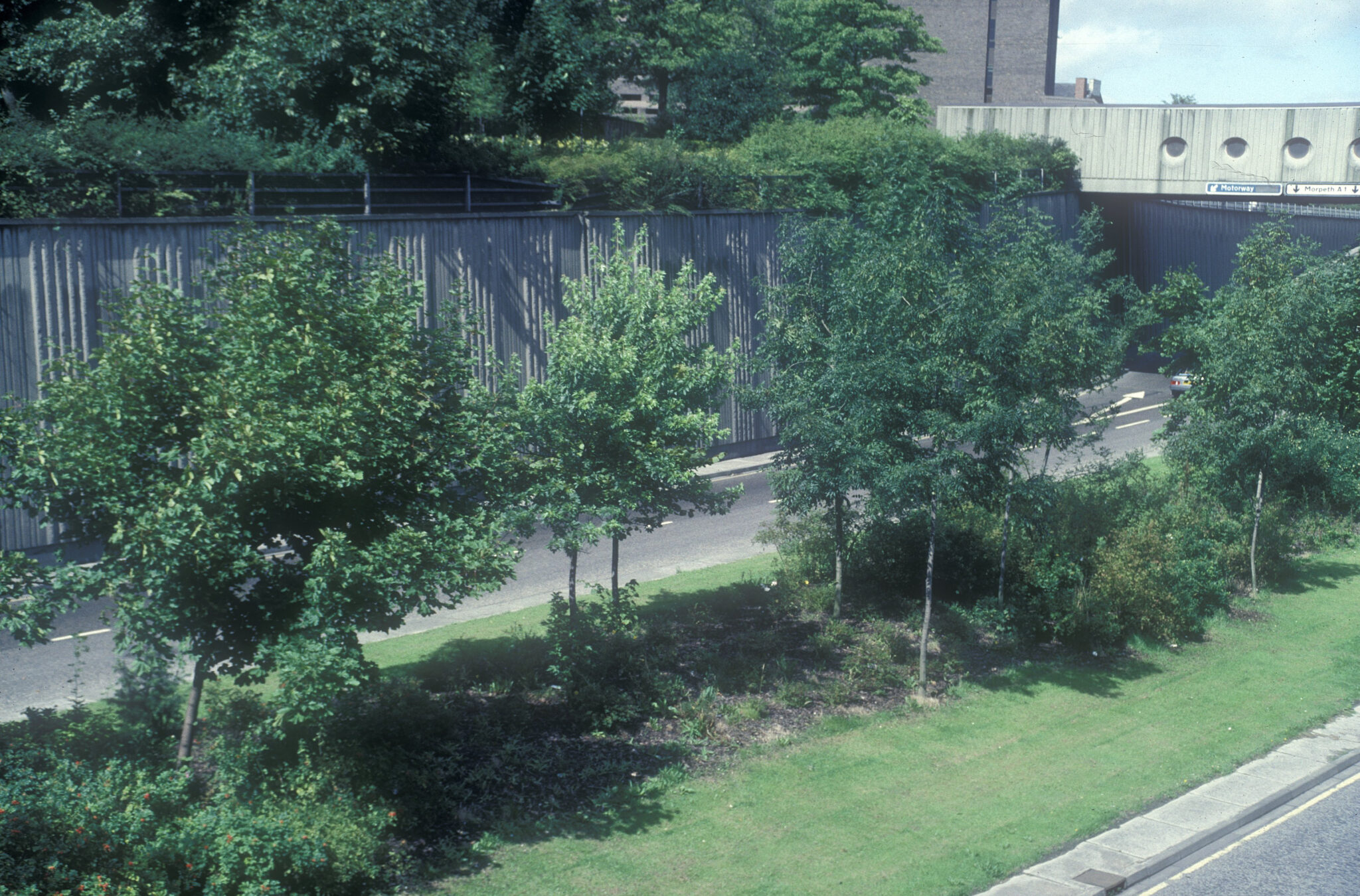 Trees and biodiversity net gain on small sites – Forestry Commission