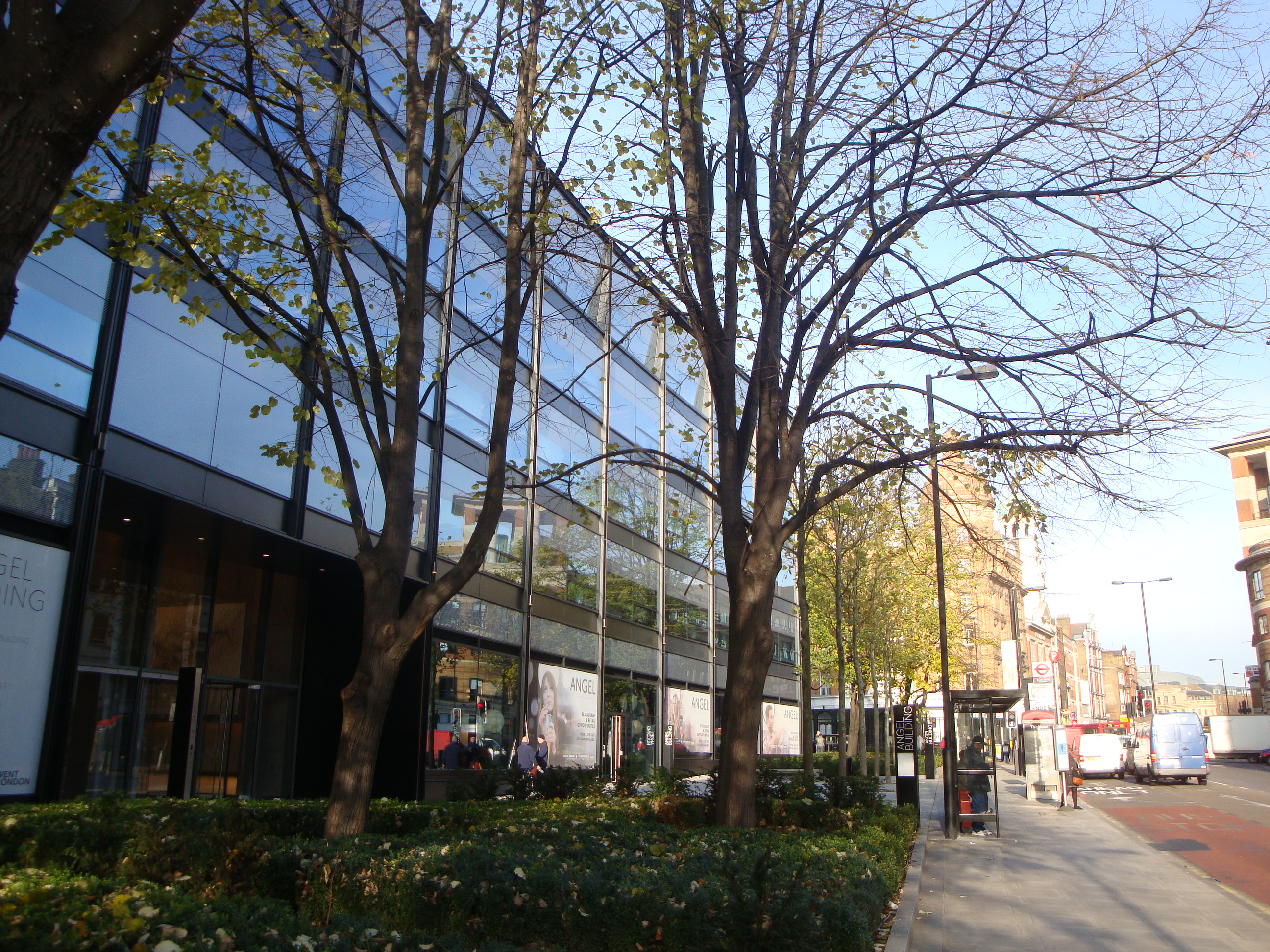 Trees and biodiversity net gain on small sites – Forestry Commission