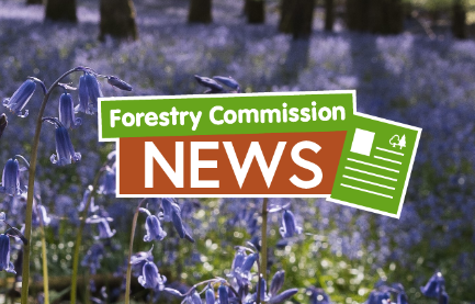 Our staff – Forestry Commission