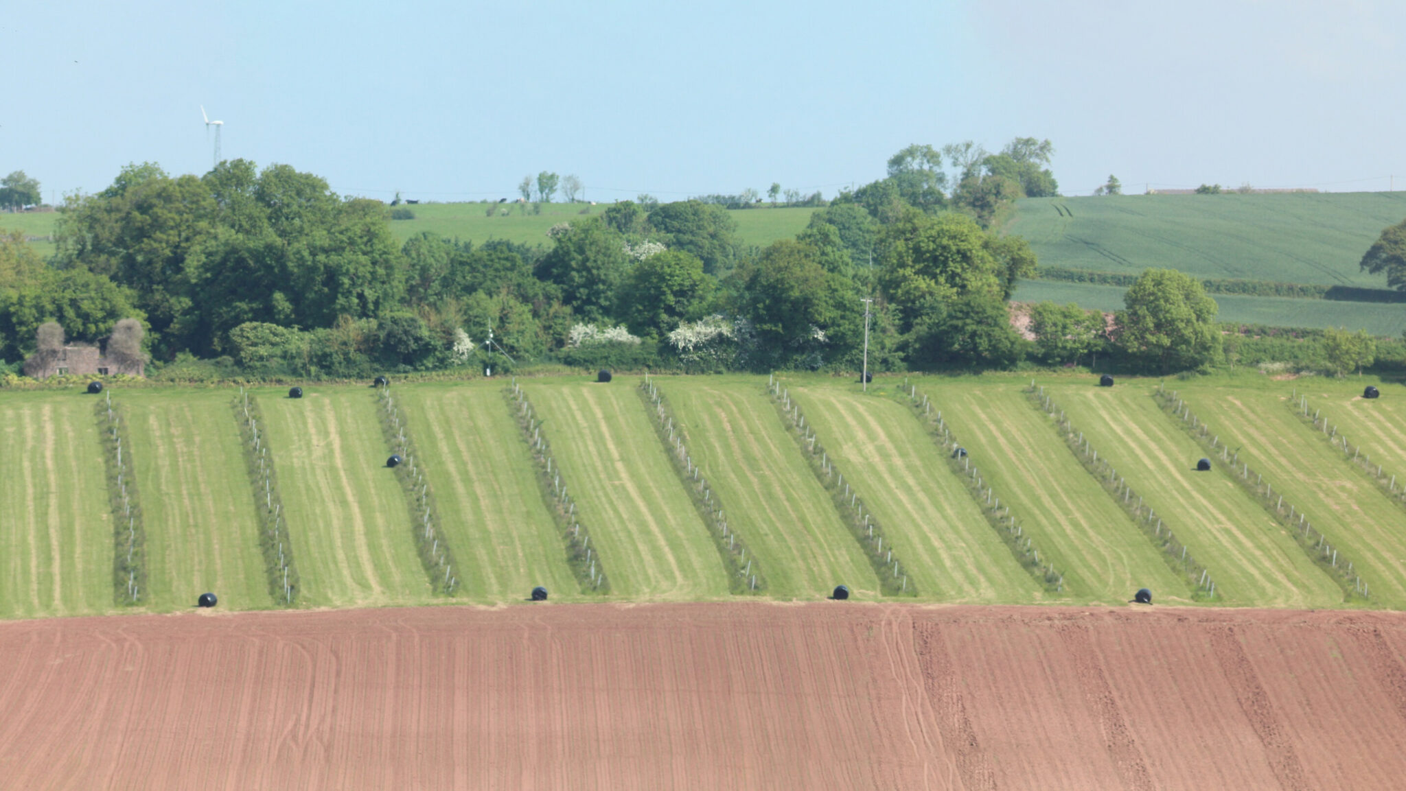 Is agroforestry right for your farm? New funding to help plan and ...