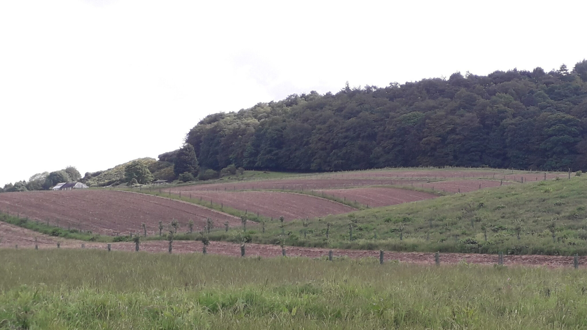 Is agroforestry right for your farm? New funding to help plan and ...