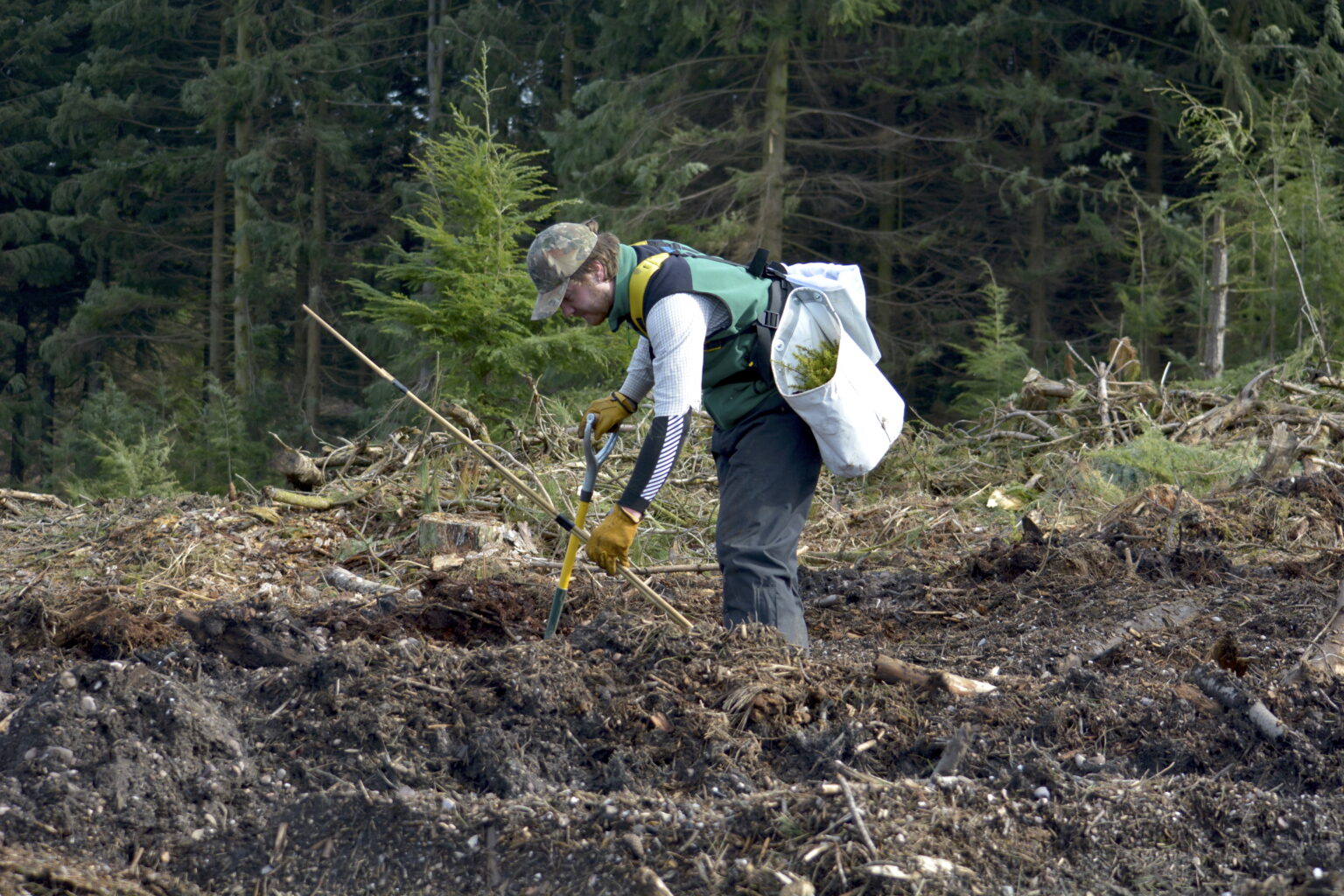 Careers – Forestry Commission