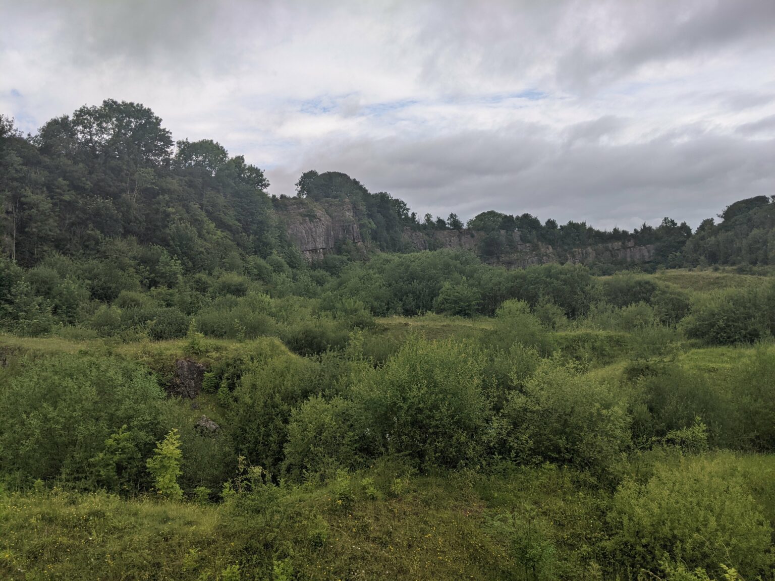 Into the woods: from quarry to nature reserve – Forestry Commission