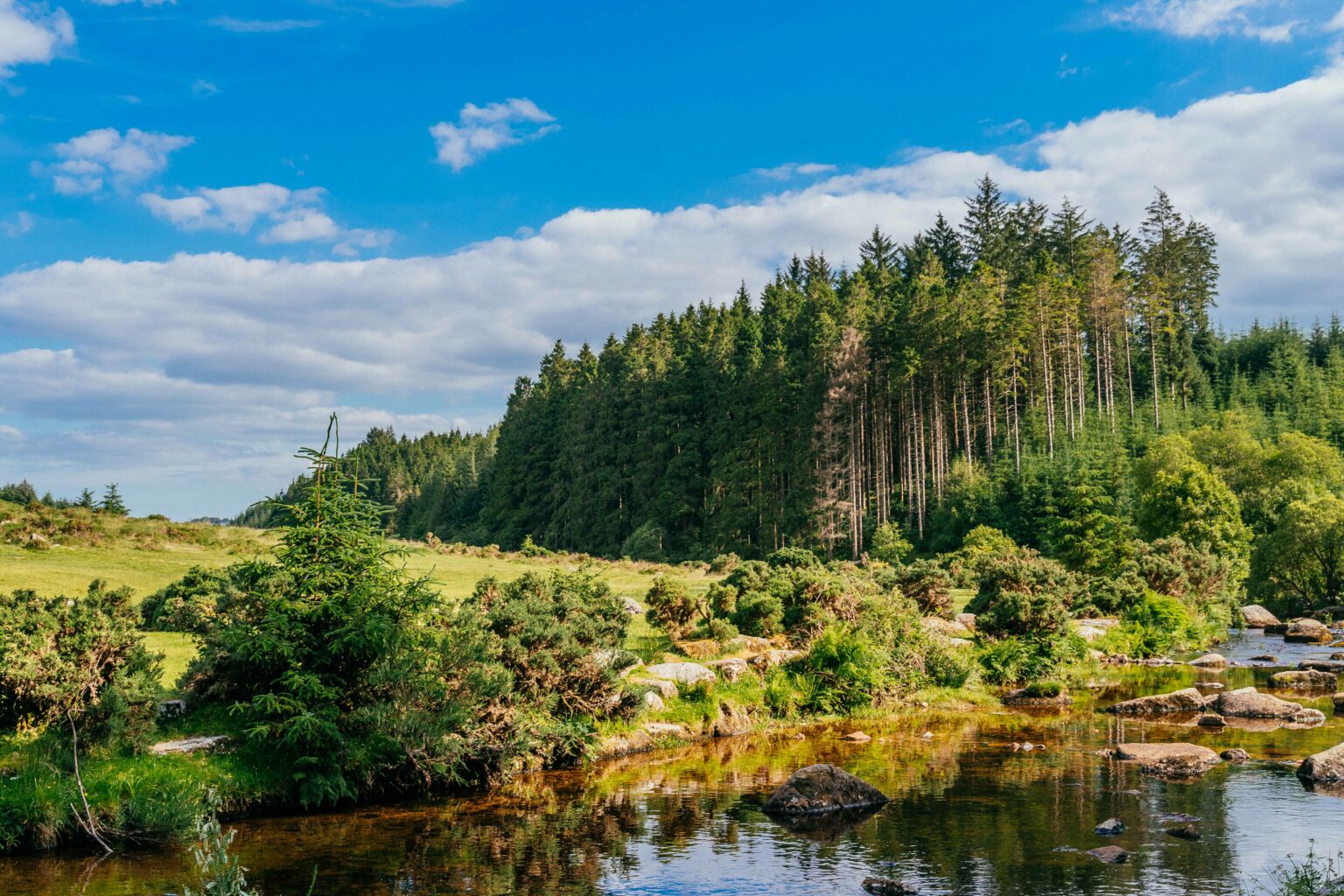 Forestry facing the future: a 50-year horizon scan – Forestry Commission
