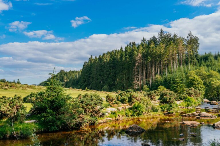 Forestry facing the future: a 50-year horizon scan – Forestry Commission
