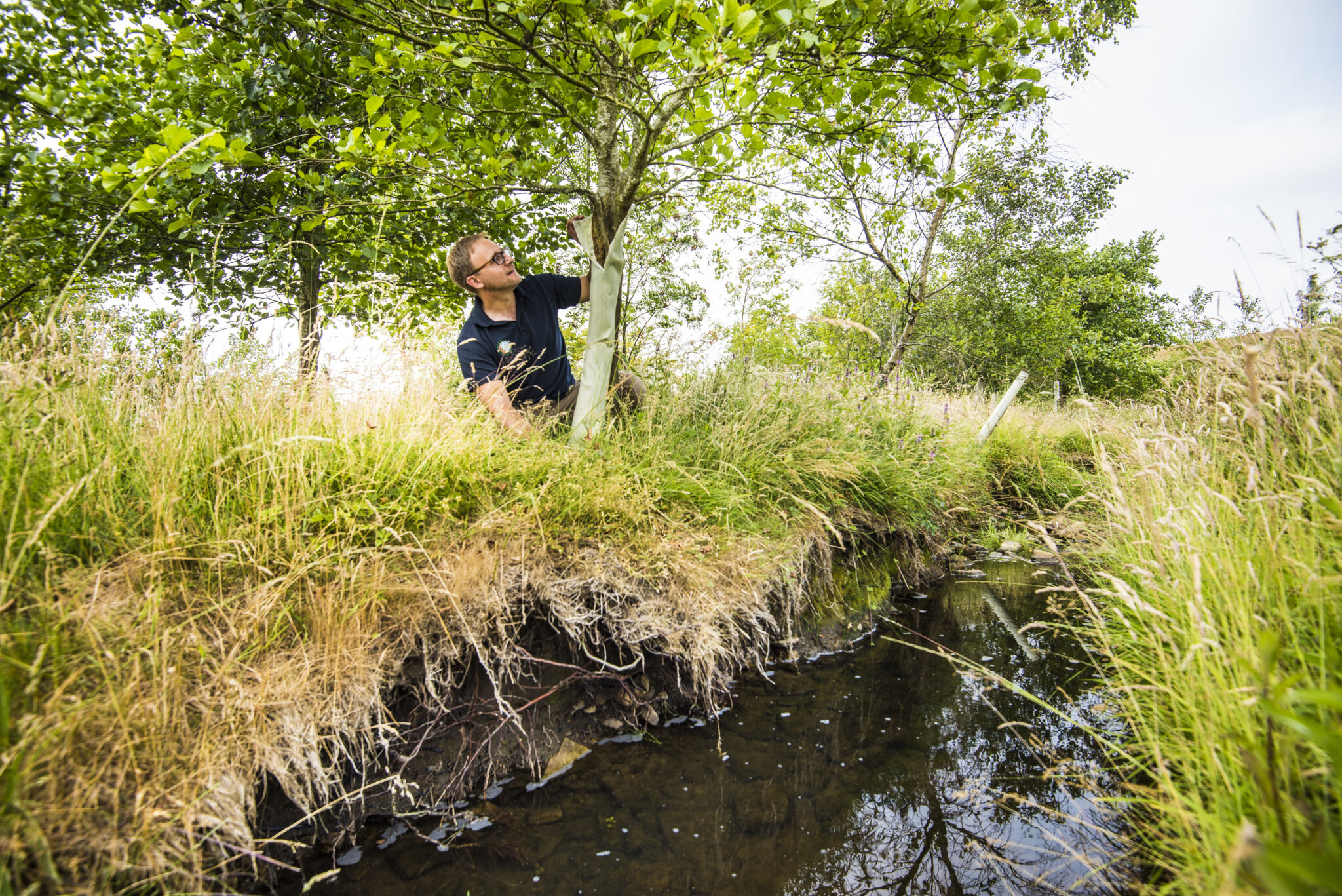Careers – Forestry Commission