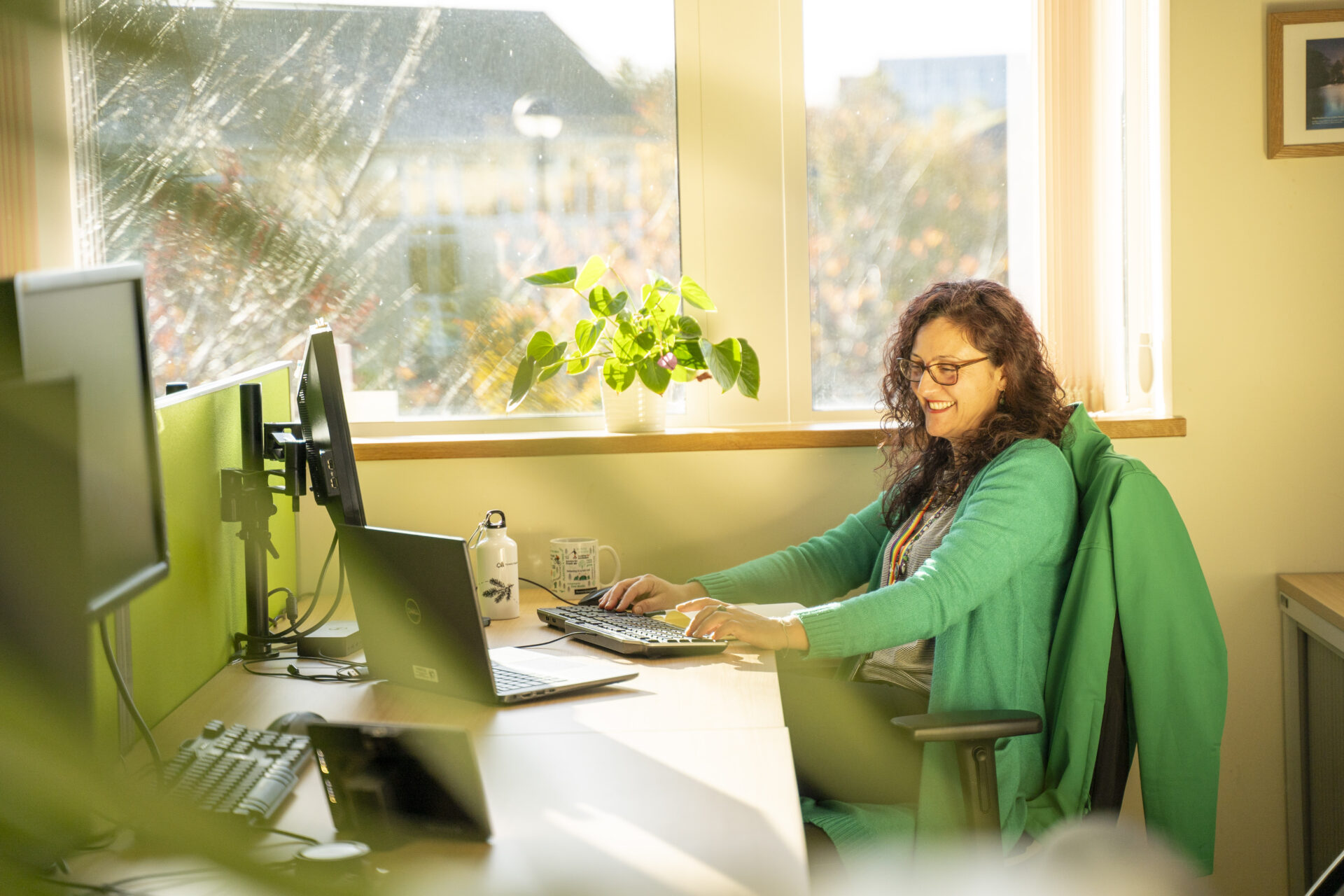 It’s a great time to be in forestry – Forestry Commission