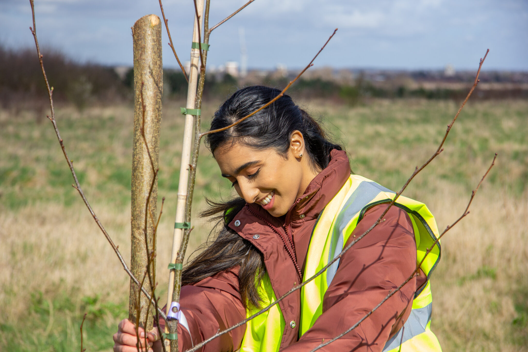 It’s a great time to be in forestry – Forestry Commission