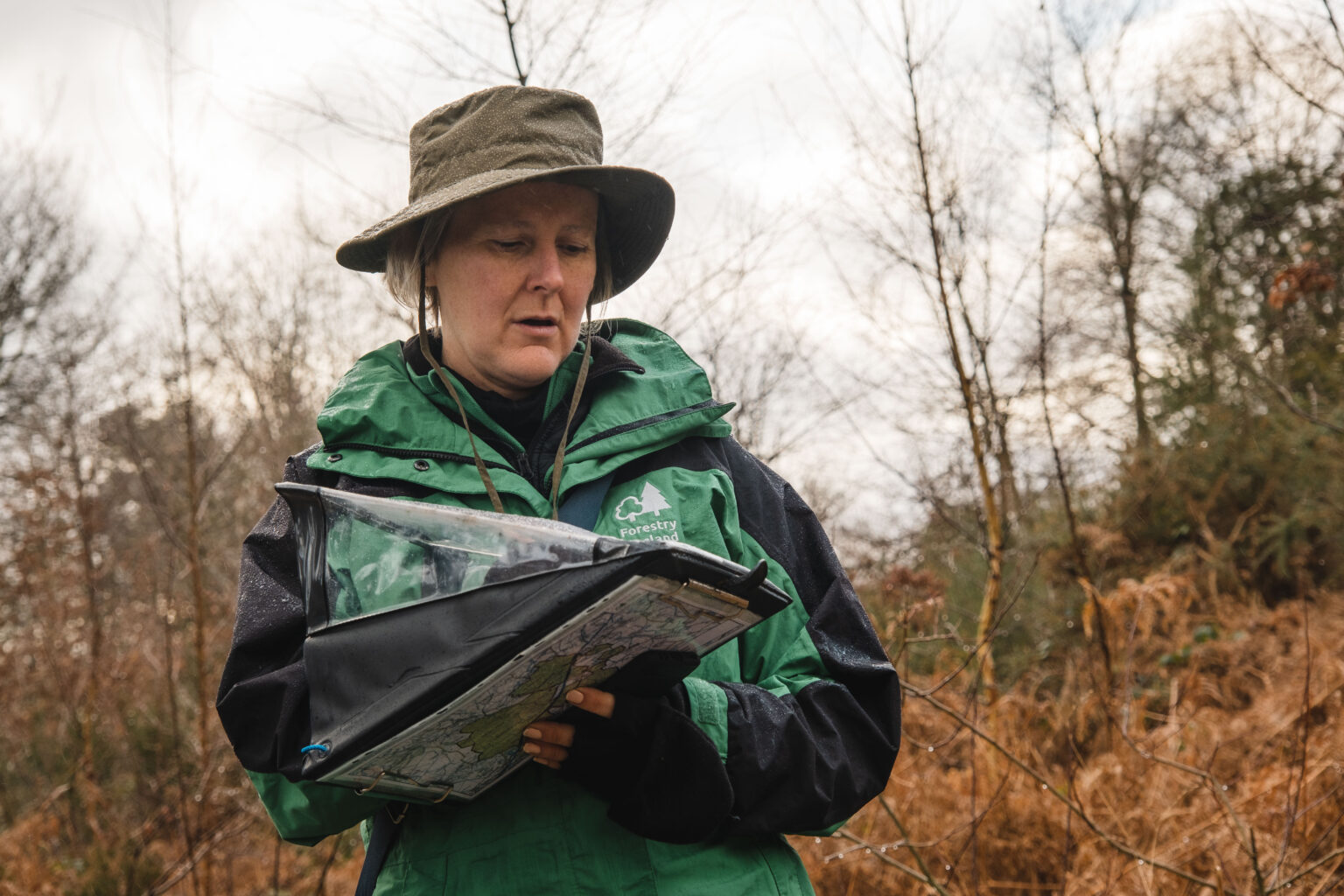 7 tips to help you change to a career in forestry – Forestry Commission
