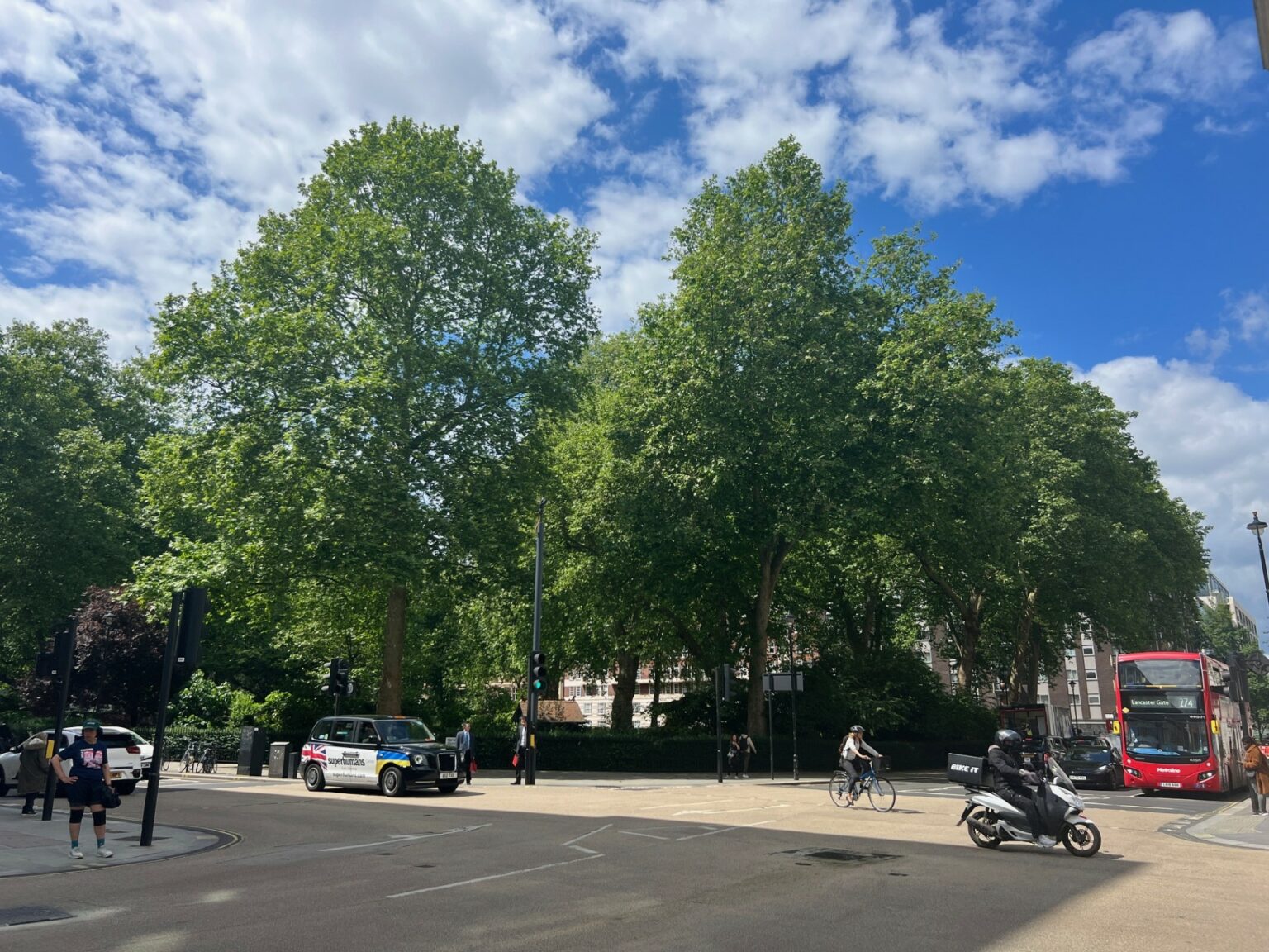 Cultivating resilient trees and woodlands in London: a model for all ...