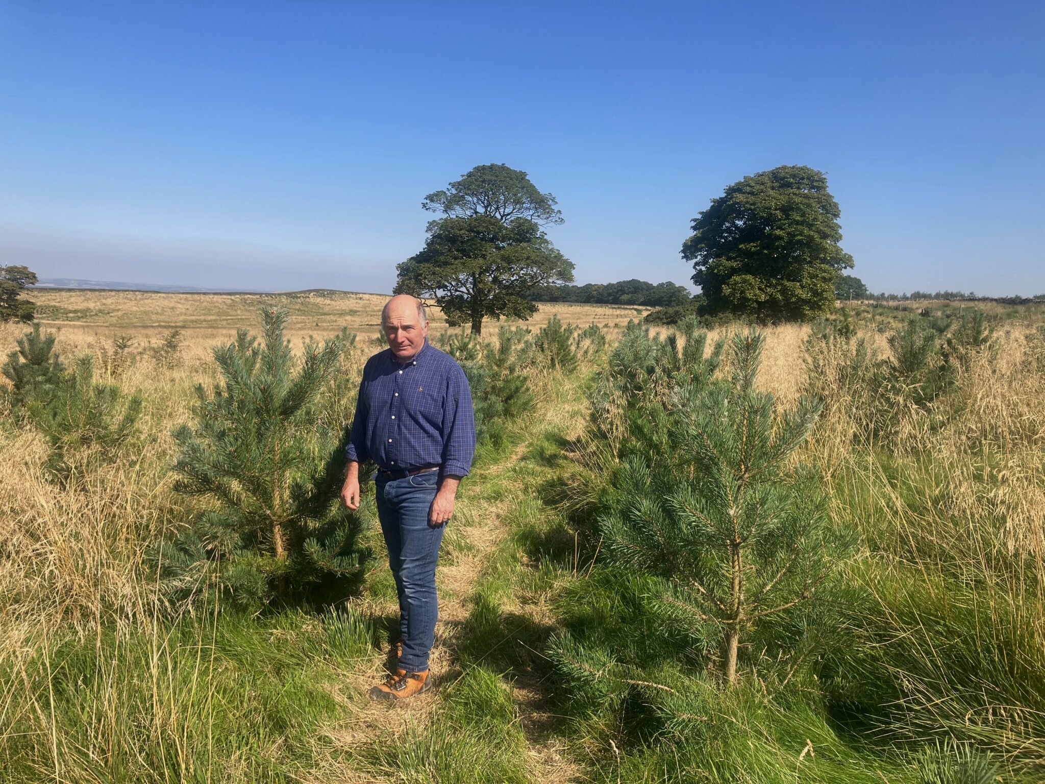 Shaun Purkiss-McEndoo – Forestry Commission Shaun Purkiss-McEndoo – Forestry Commission