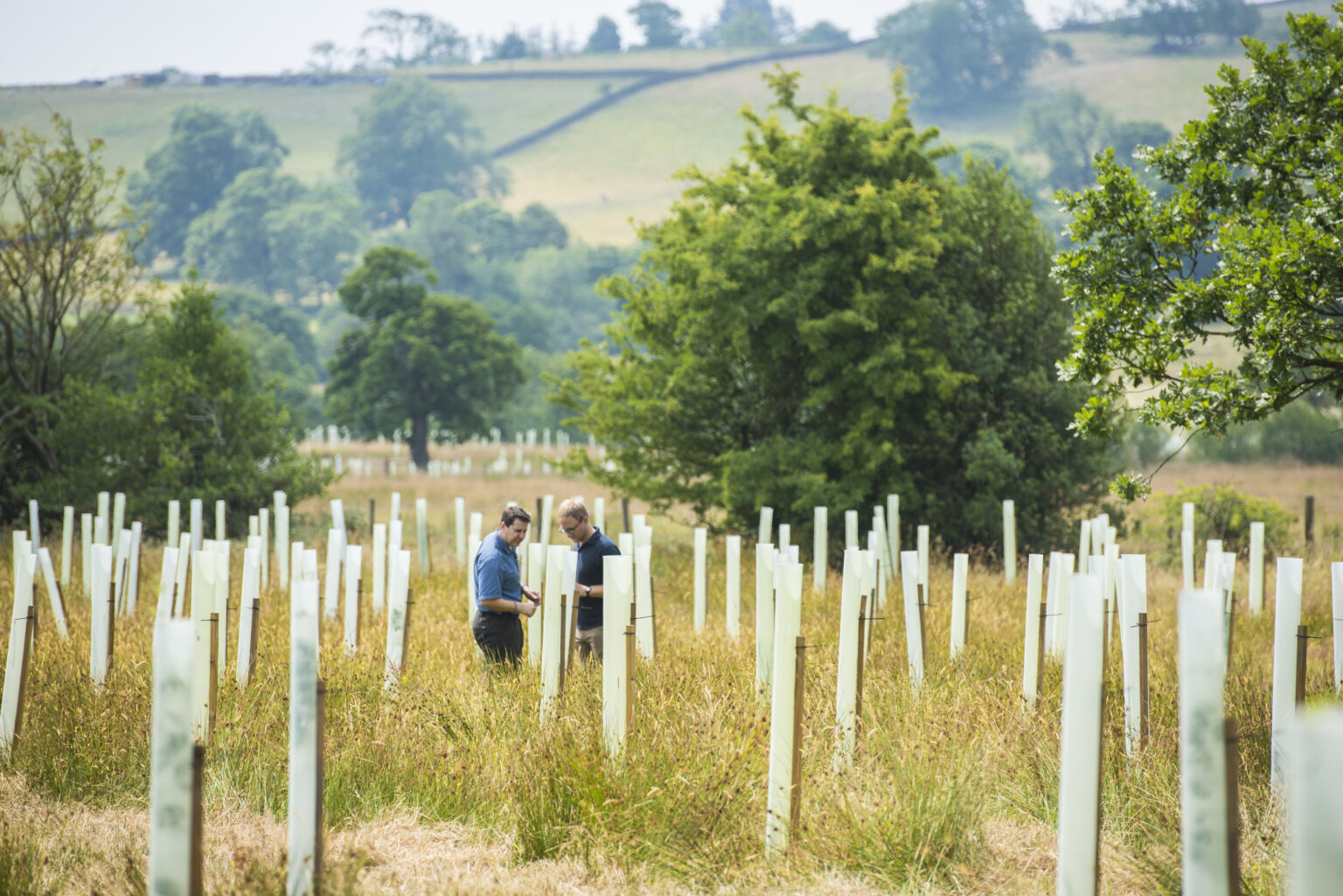 Getting ready to apply for Countryside Stewardship Higher Tier ...