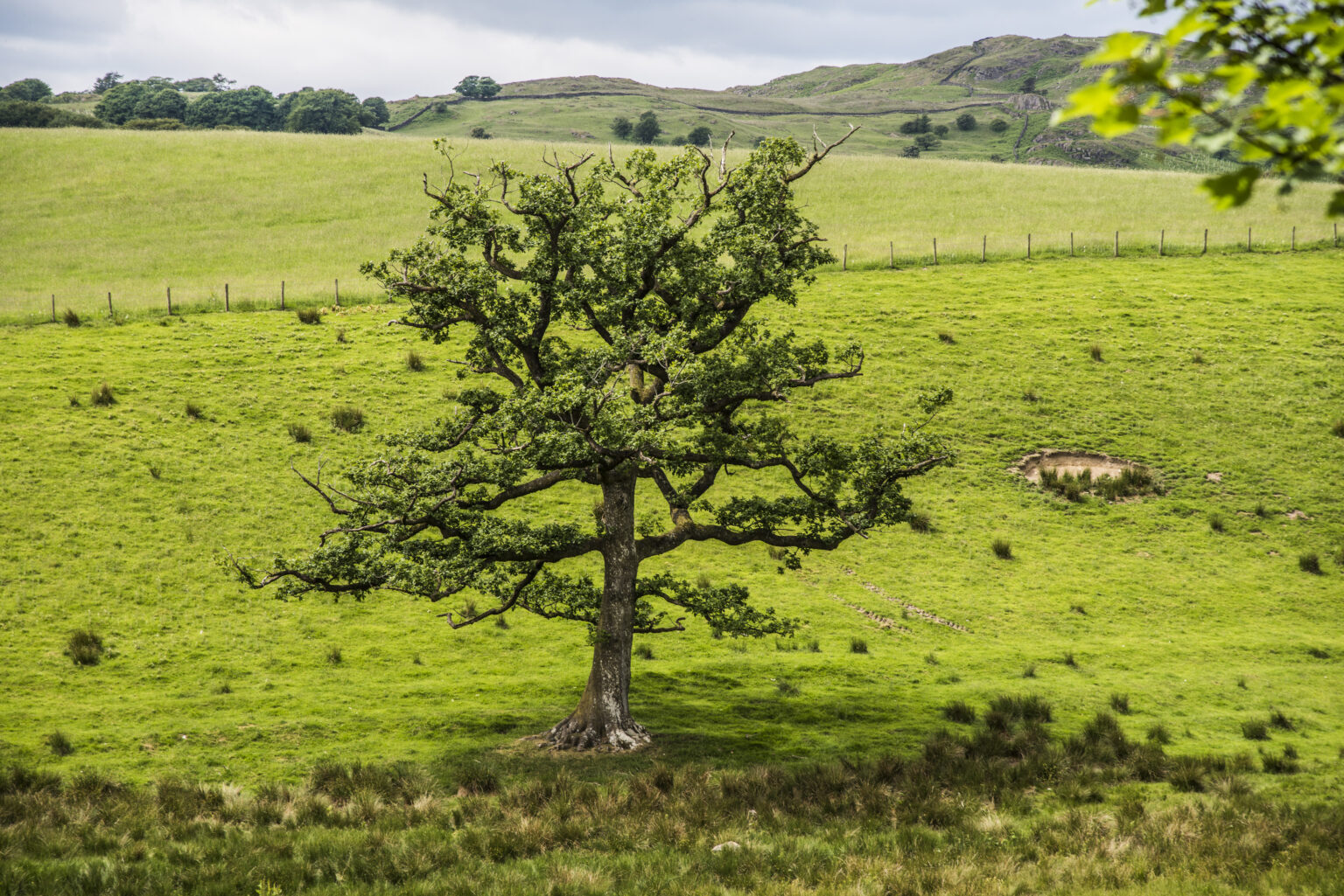 Getting ready to apply for Countryside Stewardship Higher Tier ...