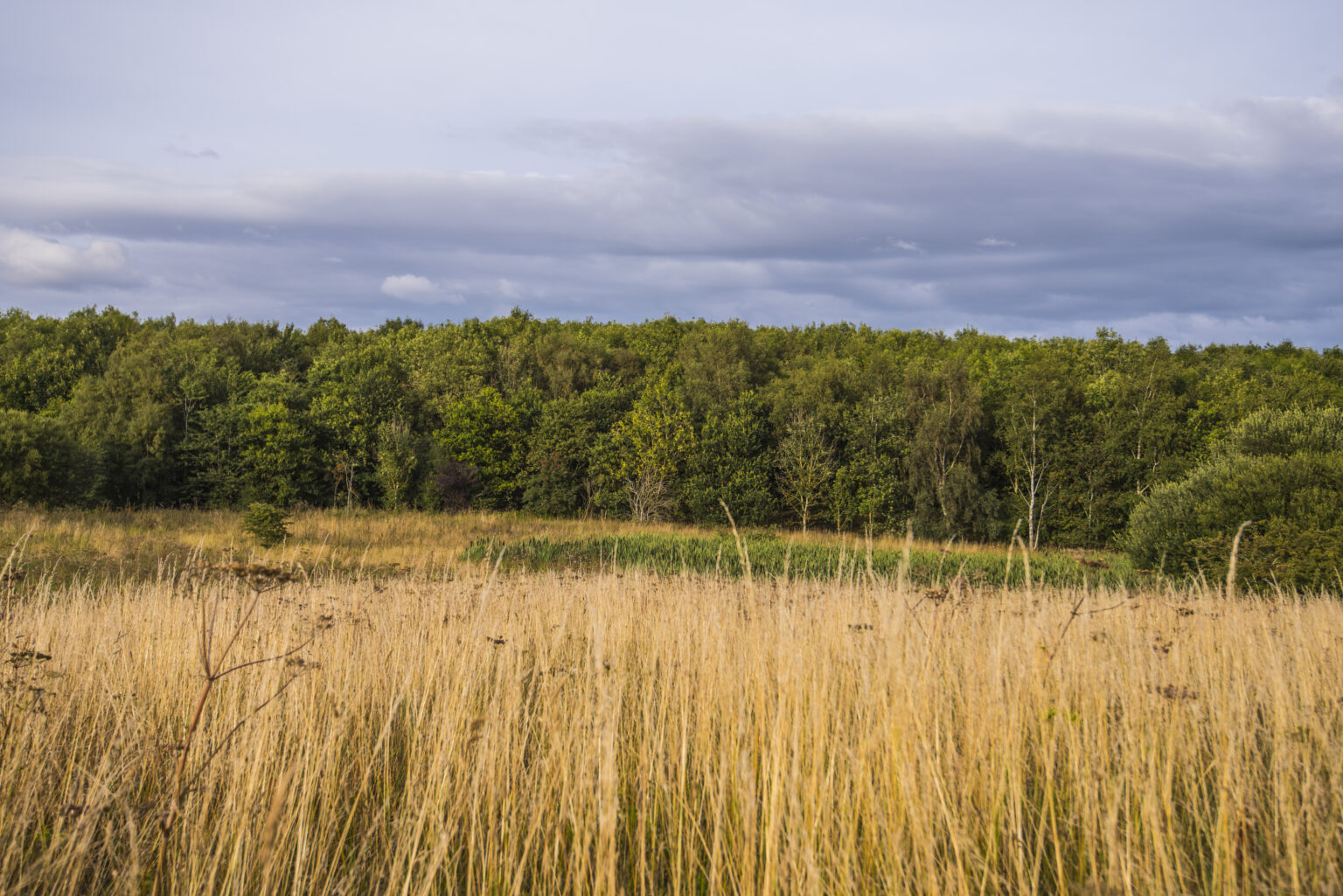 Getting ready to apply for Countryside Stewardship Higher Tier ...