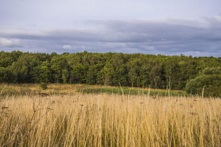 Getting ready to apply for Countryside Stewardship Higher Tier ...