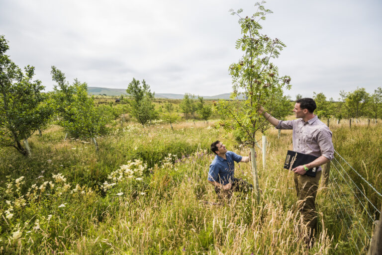 Navigating Countryside Stewardship Higher Tier funding for effective ...