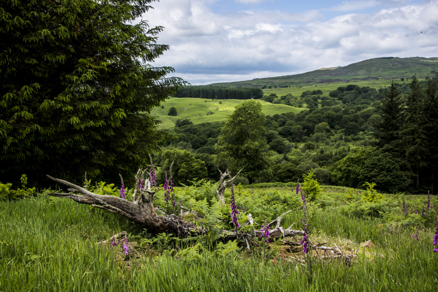 Navigating Countryside Stewardship Higher Tier funding for effective ...