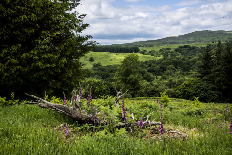 Navigating Countryside Stewardship Higher Tier funding for effective ...