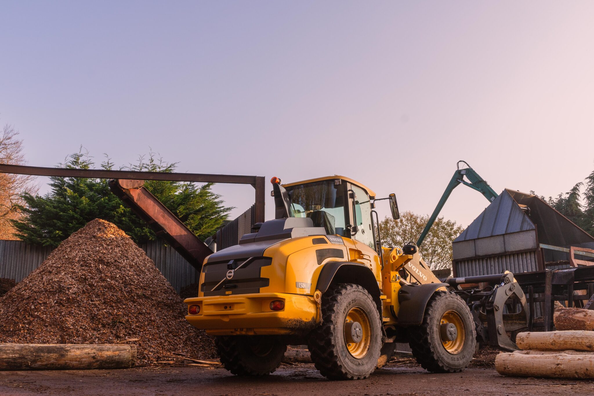 Celebrating the timber in our lives – Forestry Commission