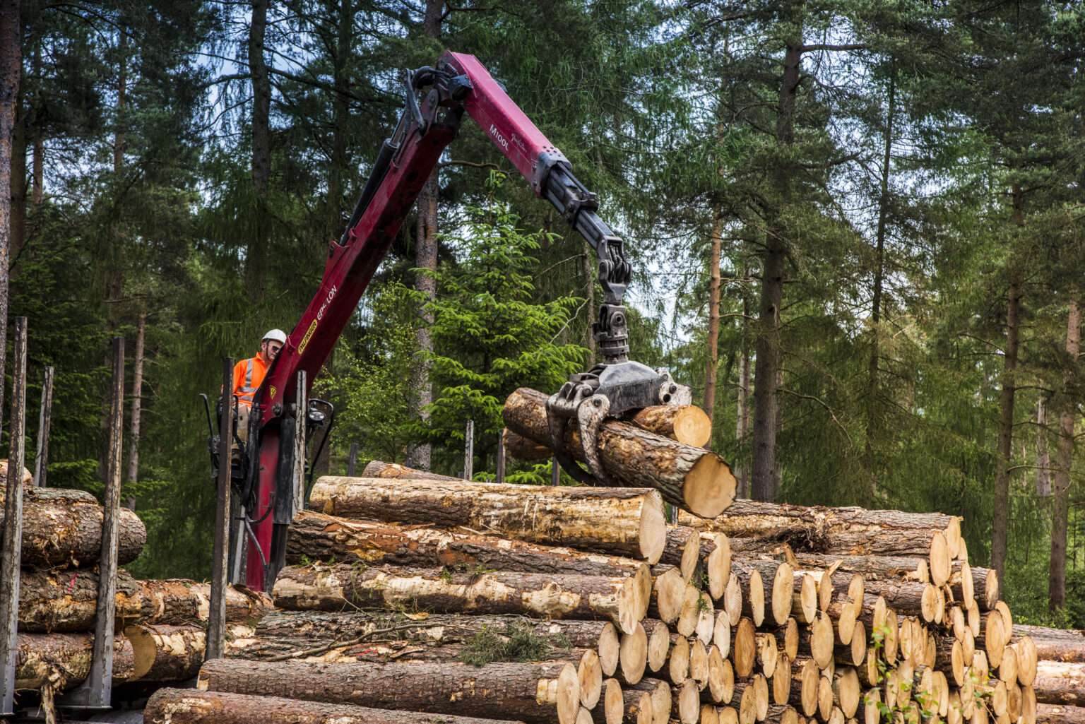The UK Forestry Standard: a guide to sustainable forestry and ...