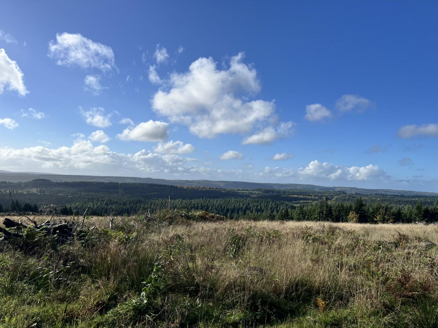 The UK Forestry Standard: a guide to sustainable forestry and responsible timber harvesting ...