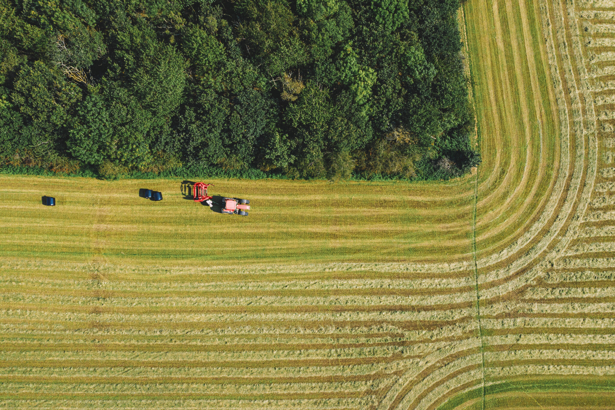 Should trees be planted within a productive farming landscape ...