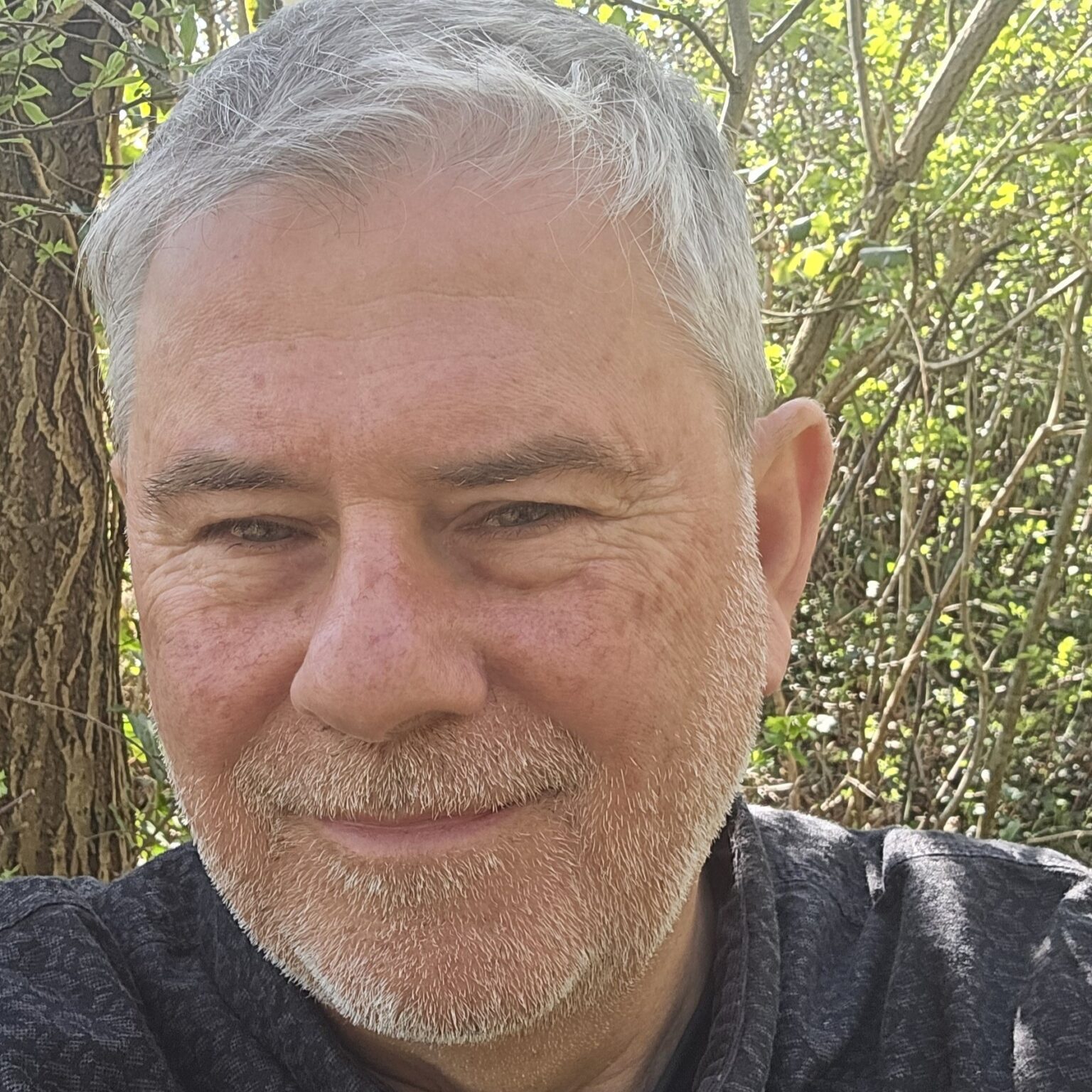 Why woodland edge matters – Forestry Commission